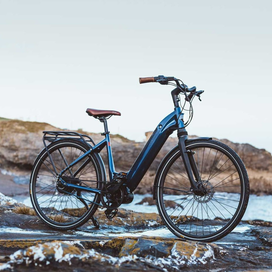 Bear Cycles – bearcycles